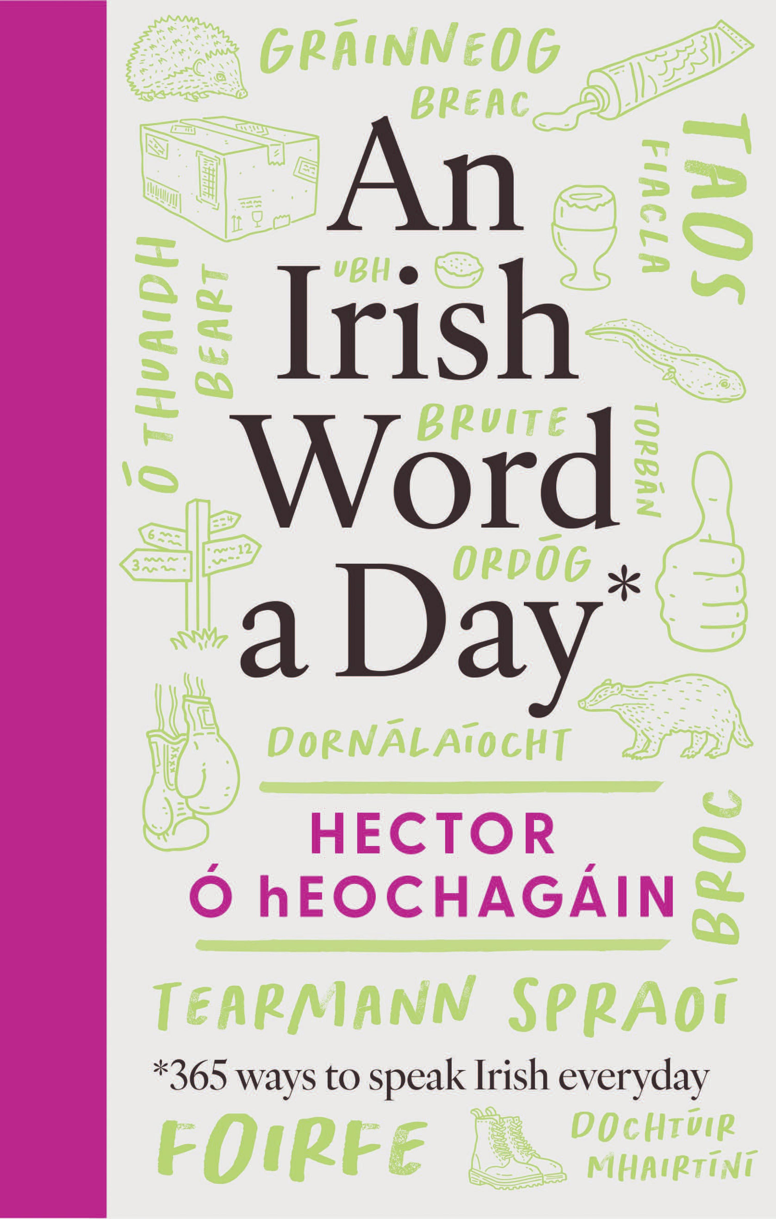 An Irish Word a Day (Hector Ó hEochagáin - Gill Books)